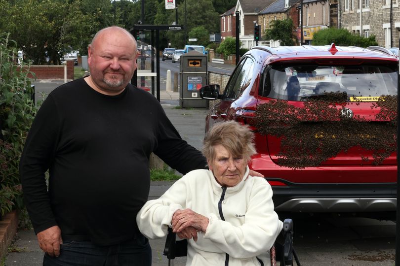 Mystery as thousands of bees swarm man's car outside Tyneside bingo hall