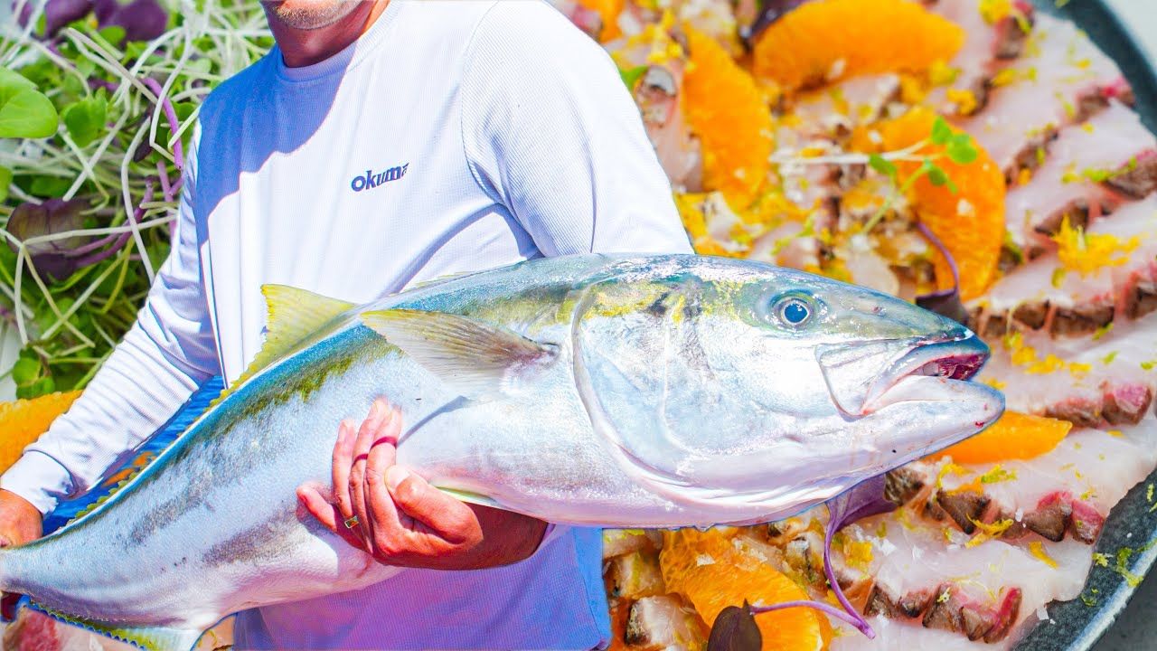 Big fish takes live bait | Catch and cook in New Zealand