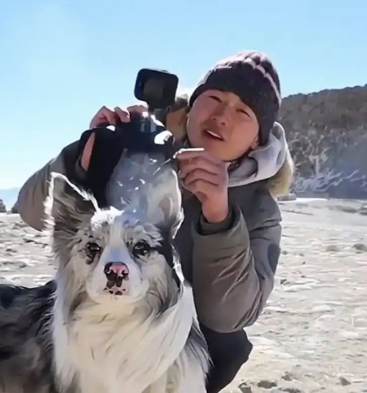 Perrito con 1,5 millones de seguidores tiene destino de partir el ...