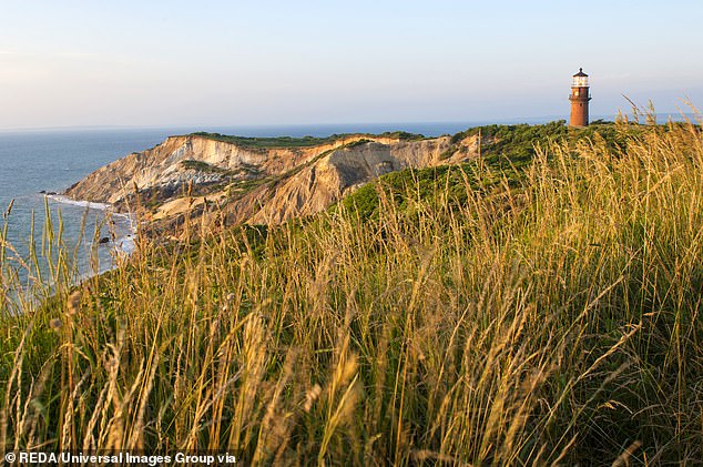 Martha's Vineyard billionaires under siege from deadly tick outbreak