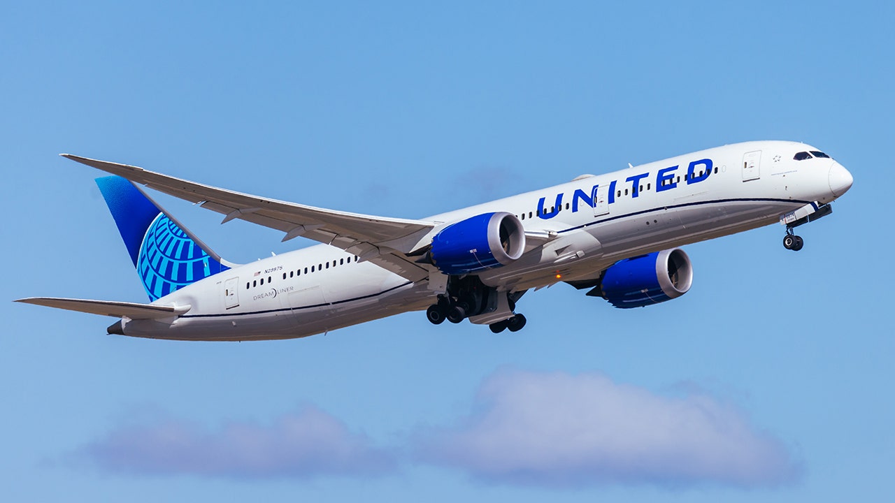 United Airlines jet flew too low and too slow before striking light ...