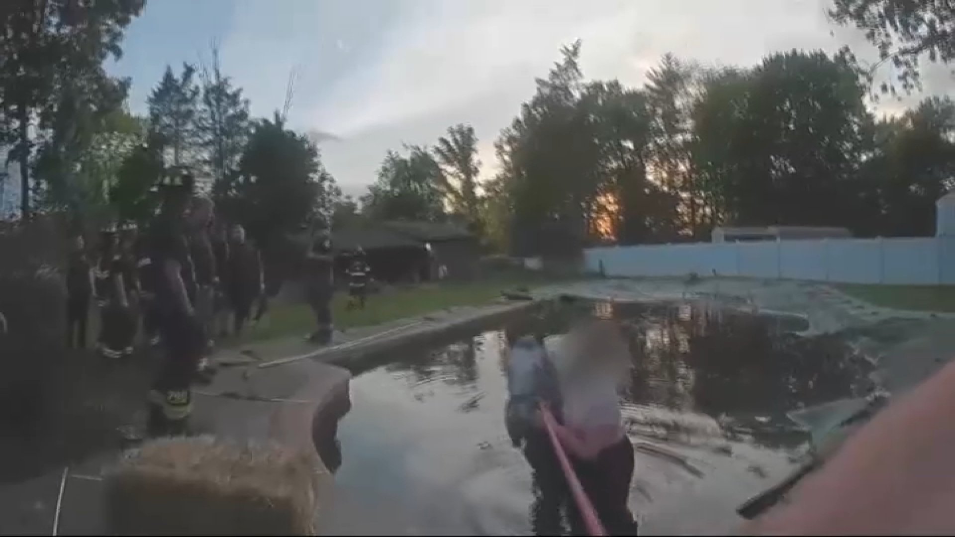 Video: Montgomery County first responders rescue horse from swimming pool