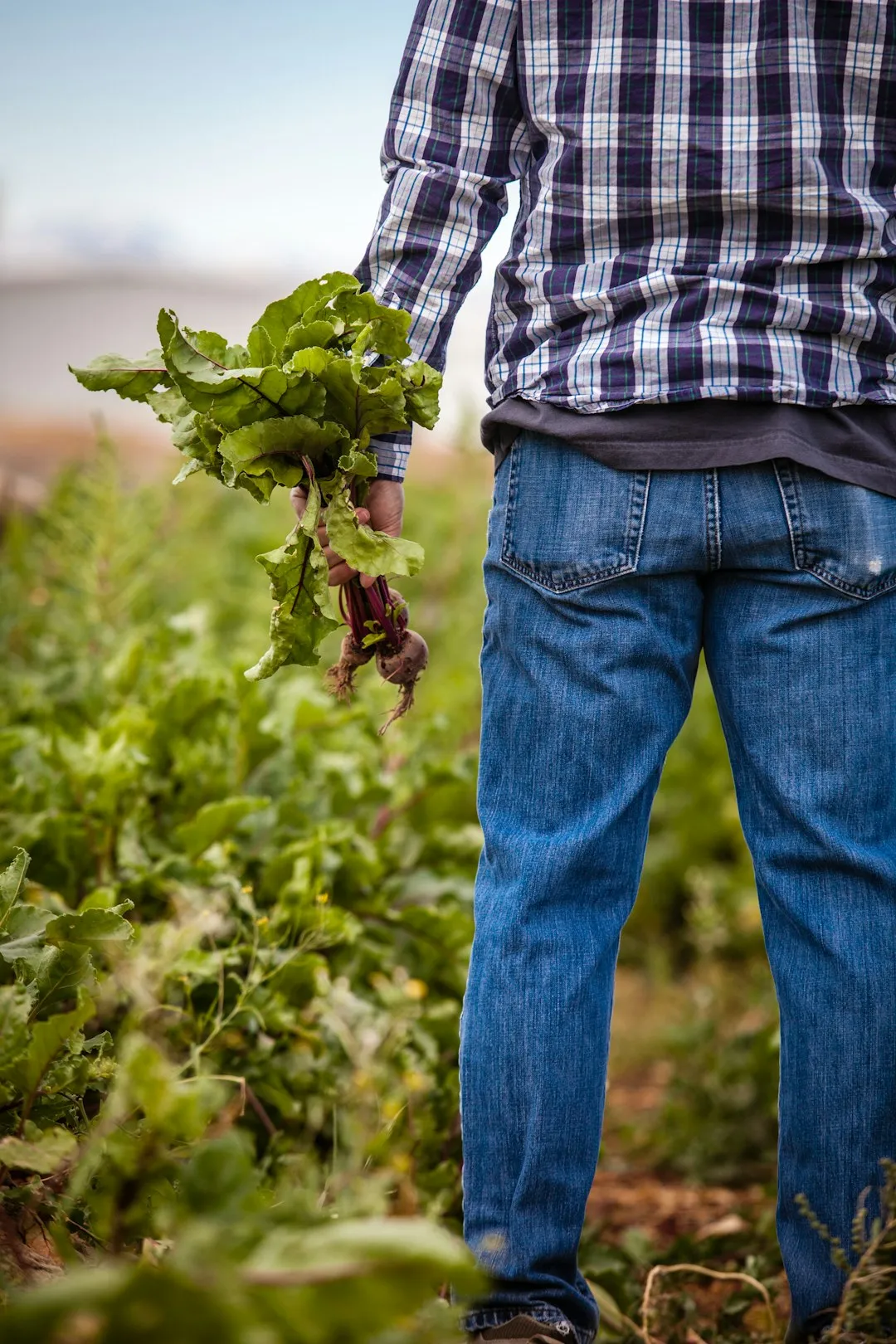 The truth about farm-to-table labels in chain restaurants