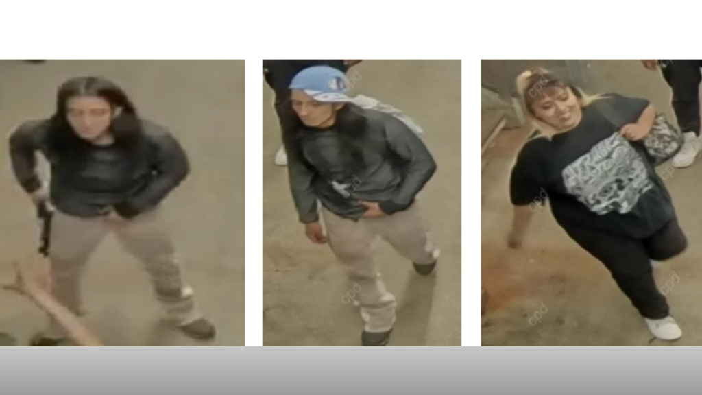 Police searching for man, woman wanted in CTA train platform battery in ...