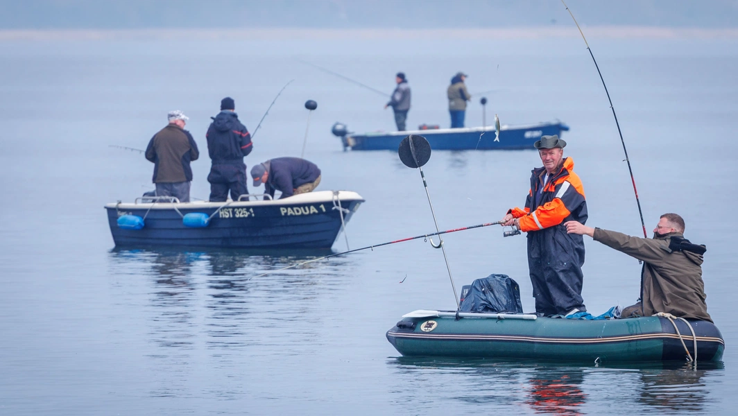 Why Swedes treasure their stinky fish tradition