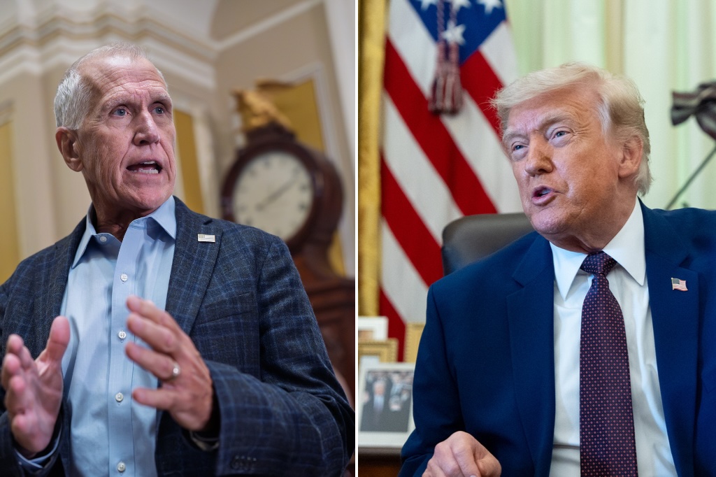 ‘Senator Tillis is a loser!’ Trump attacks GOP senator over Todd ...