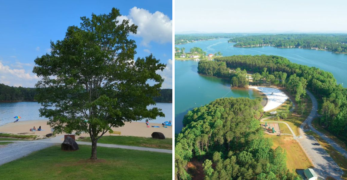 This stunning Virginia reservoir boasts 500 miles of spectacular ...