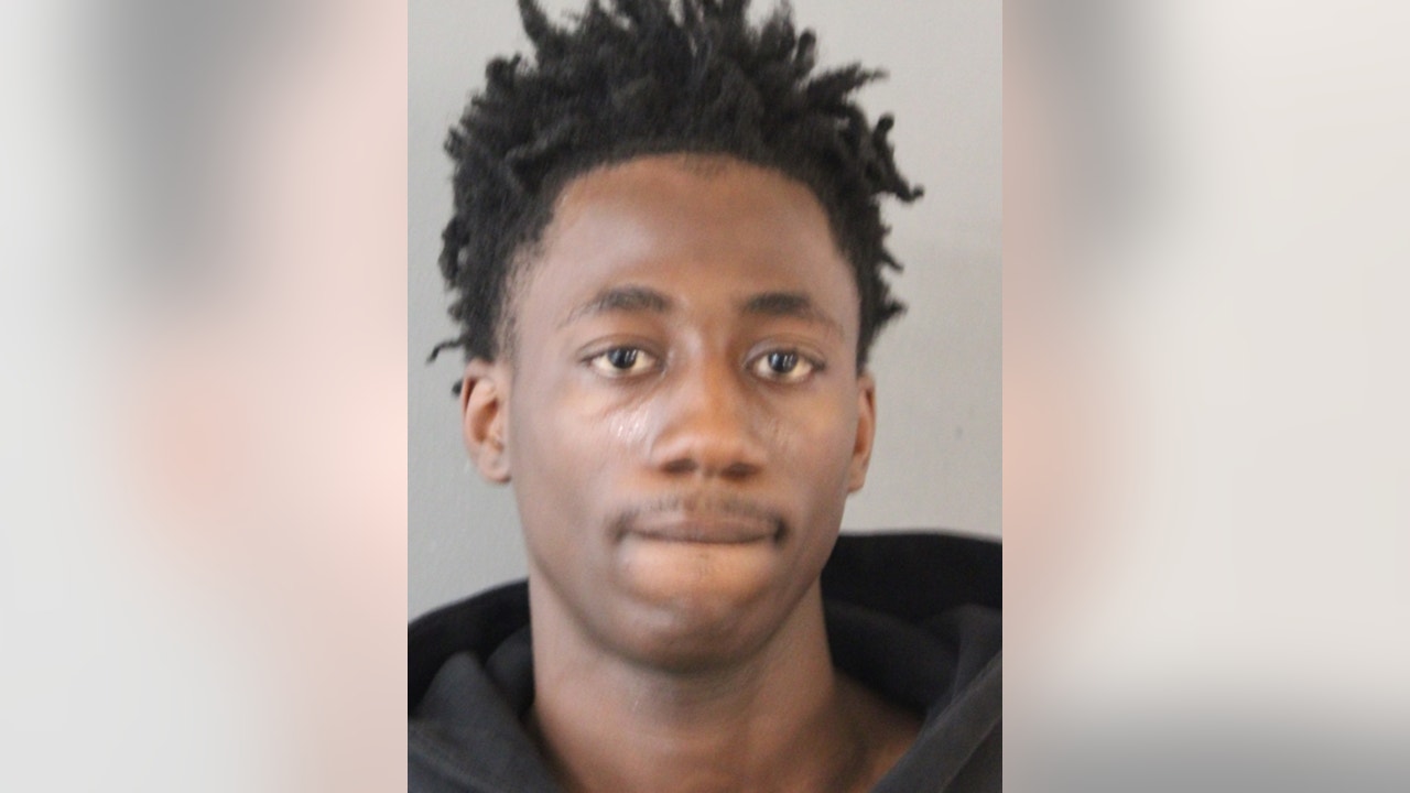 Chicago man, teen charged after 63-year-old carjacked at gunpoint ...
