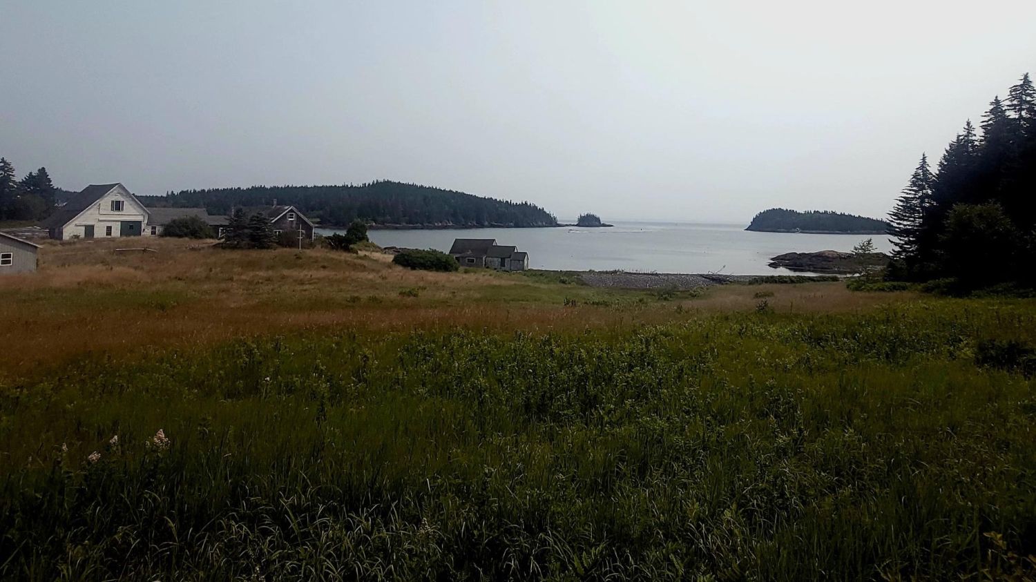 Schoppee Farm halts market as federal hemp rule hits; Machias to host ...