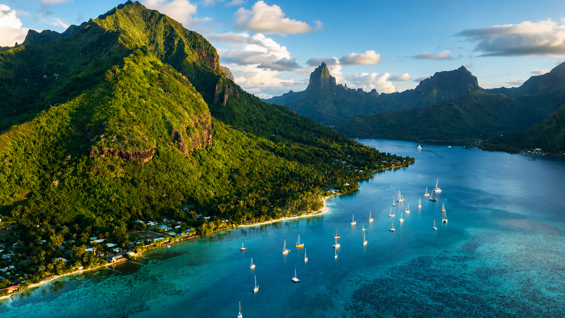 Why do so many sailboats gather here?