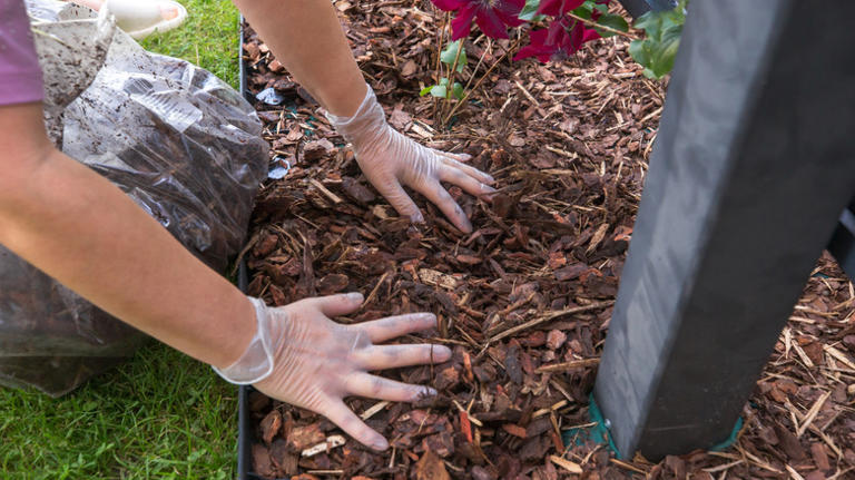 The best-kept secret to getting budget-friendly mulch for landscaping ...