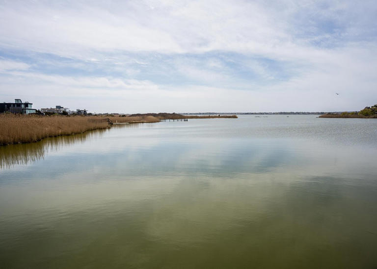 A deadly bacteria is creeping up the Atlantic Coast. How worried should ...