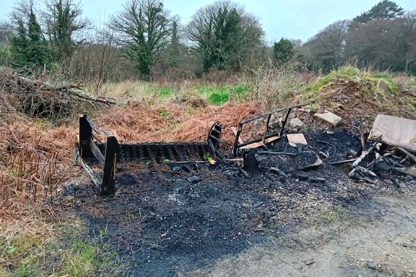 Increase in rats and flytipping raised by concerned Cornwall councillors