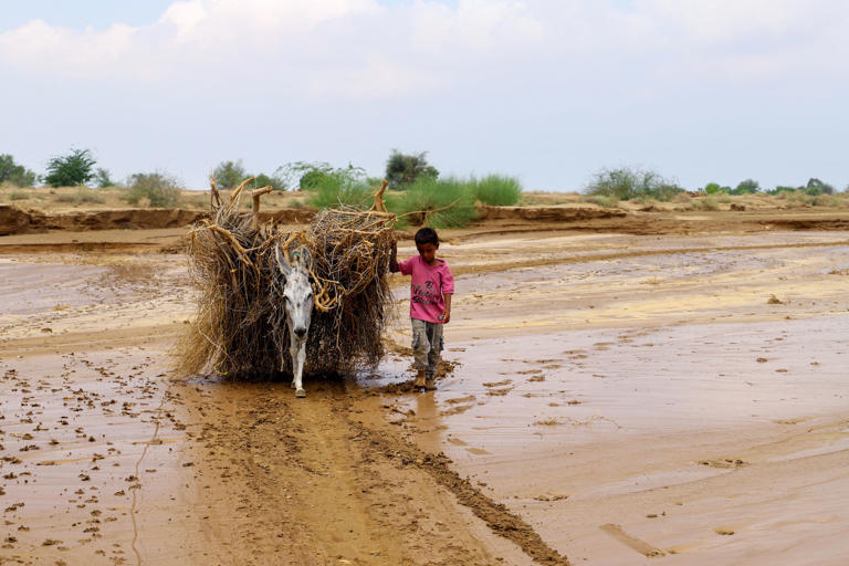 Visa problems shut poorest countries out of crucial UN climate talks