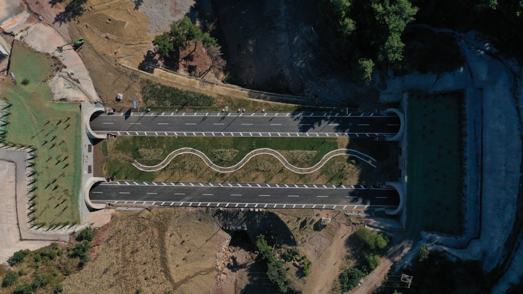 America’s largest wildlife bridge lets animals cross a busy highway safely