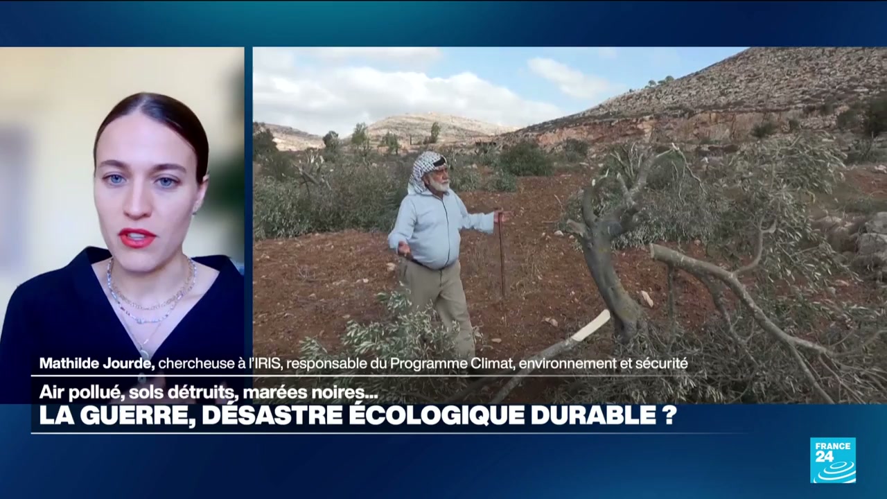 Journée internationale de l'environnement : la guerre, un désastre ...