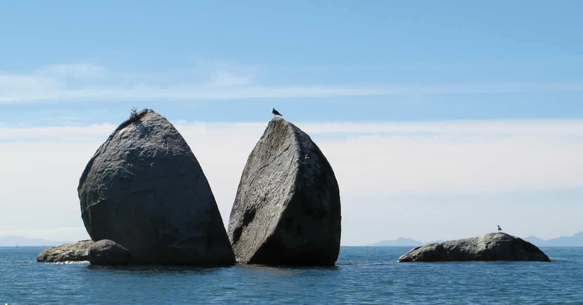 Interesting photos of naturally occurring objects cut in half