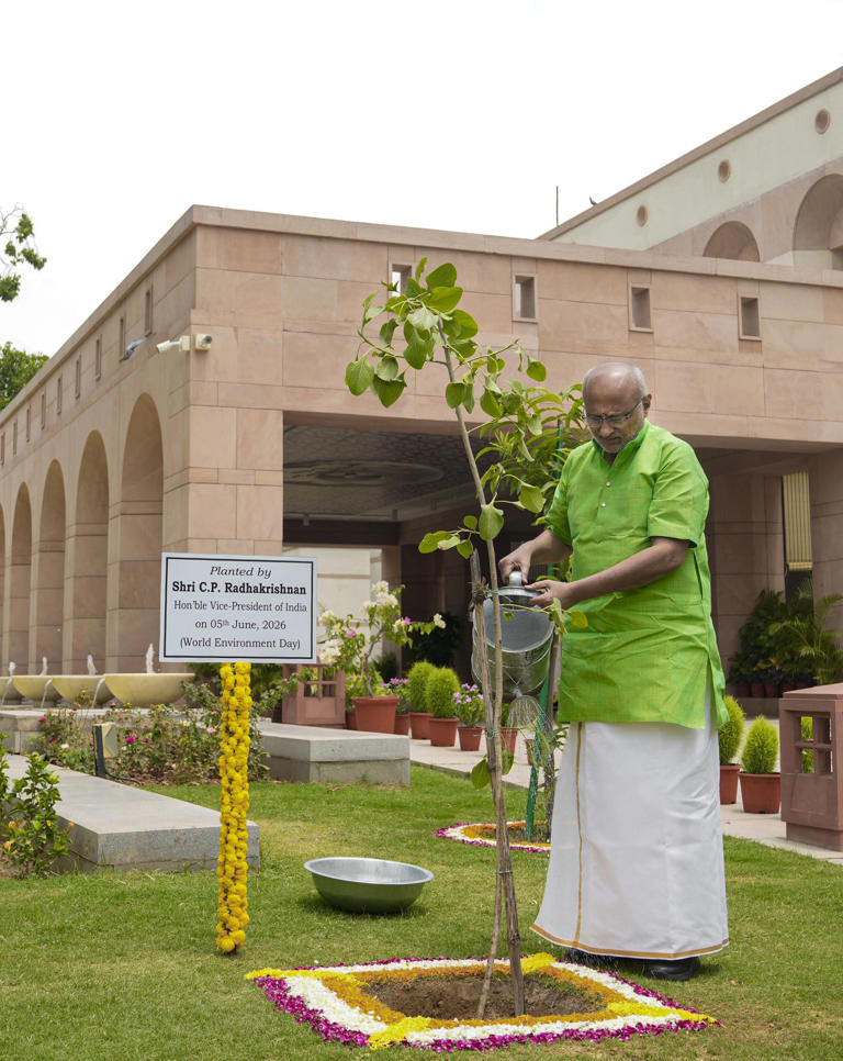 Plant trees; unite for greater good: Vice President