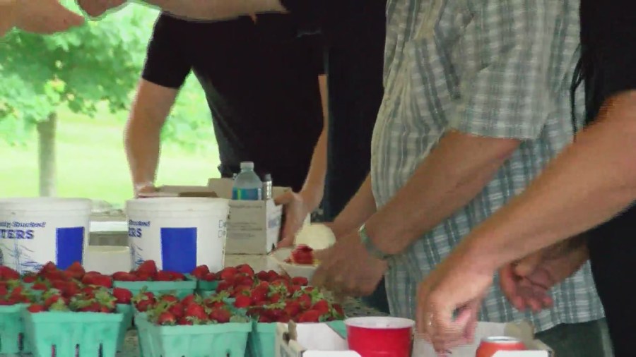 Strawberry Festival returns to Sandy Spring with crafts, costume ...