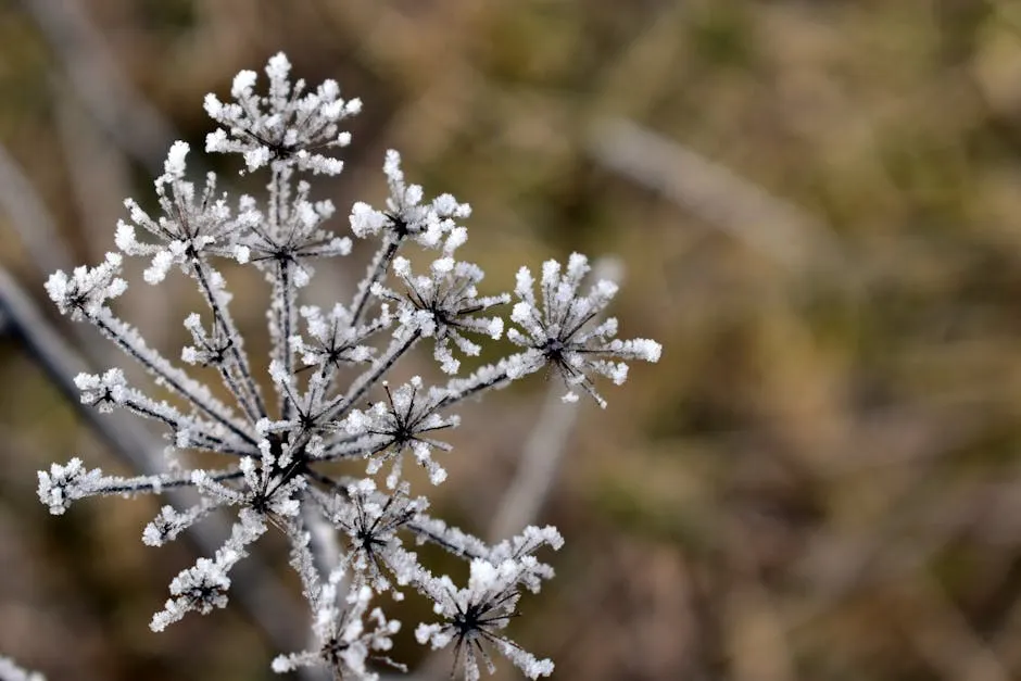 How shifting winter weather patterns will radically impact your garden ...