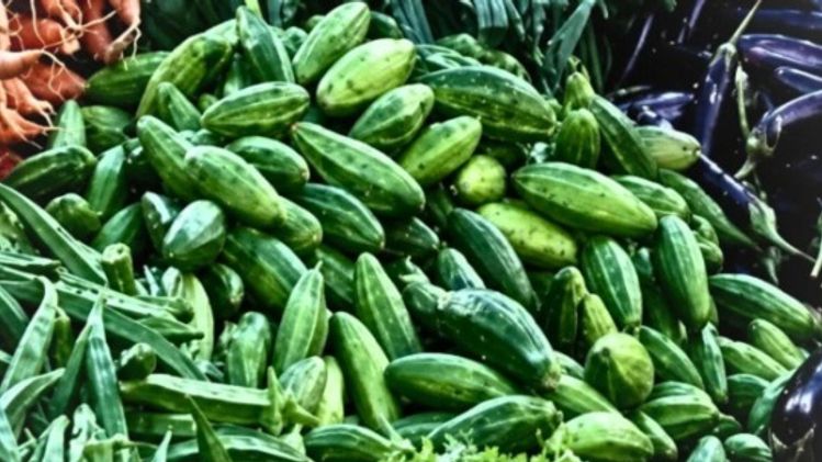Meghalaya food safety officials seize pointed gourd consignment over ...
