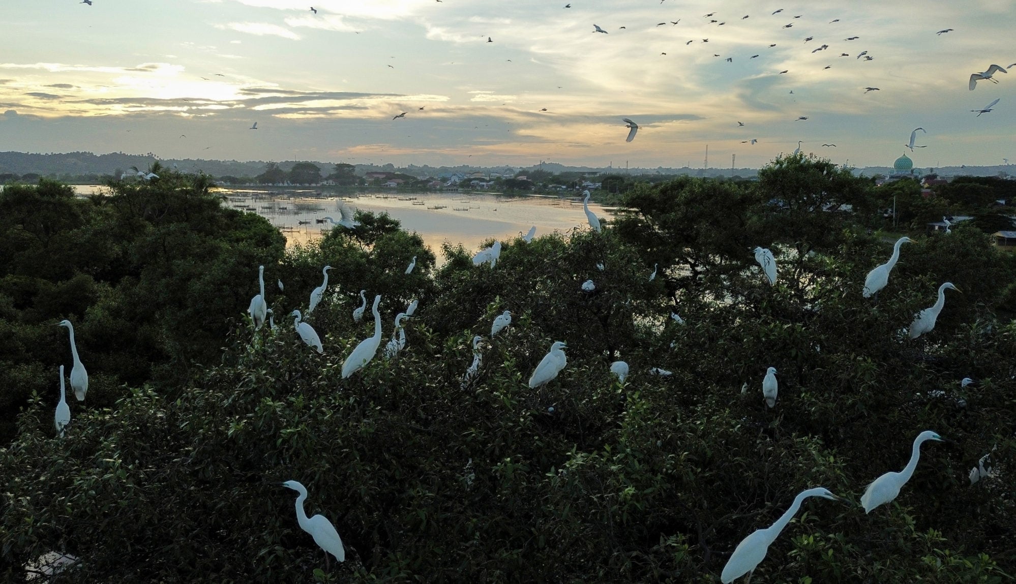 Asia’s marine pledges face credibility test at global ocean conference