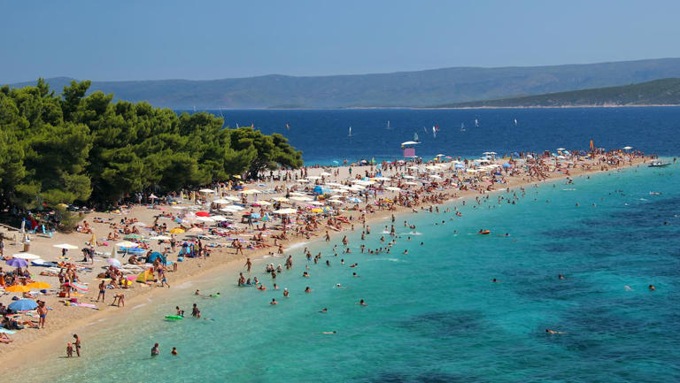 Kroatien-Urlauber aufgepasst: Gefährliche Zecken vermehren sich rasant ...