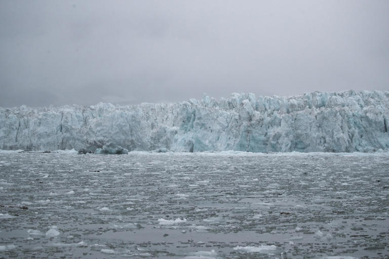 Alle Svalbard primavera da record per temperature, piogge e fusione ...