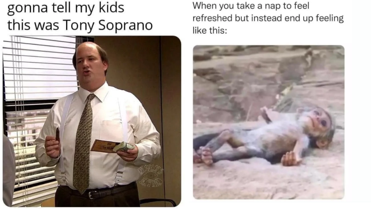 14 memes that are very random, and very entertaining