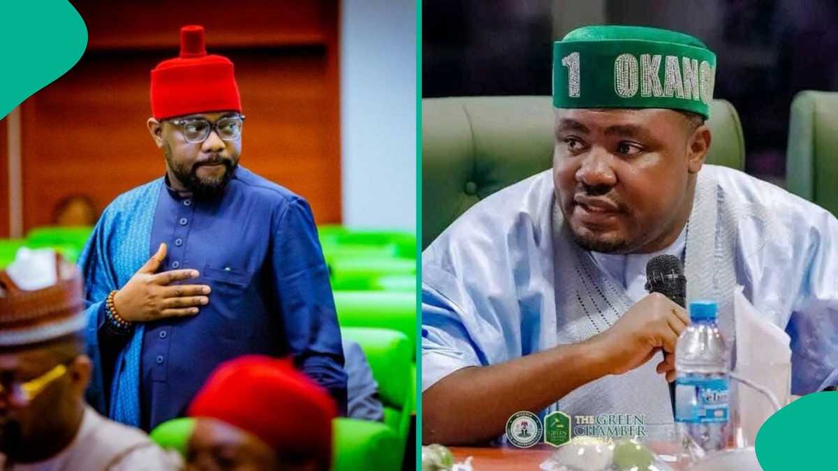 Laboir Party lawmaker dismantles Ugochinyere's nomination as minority ...