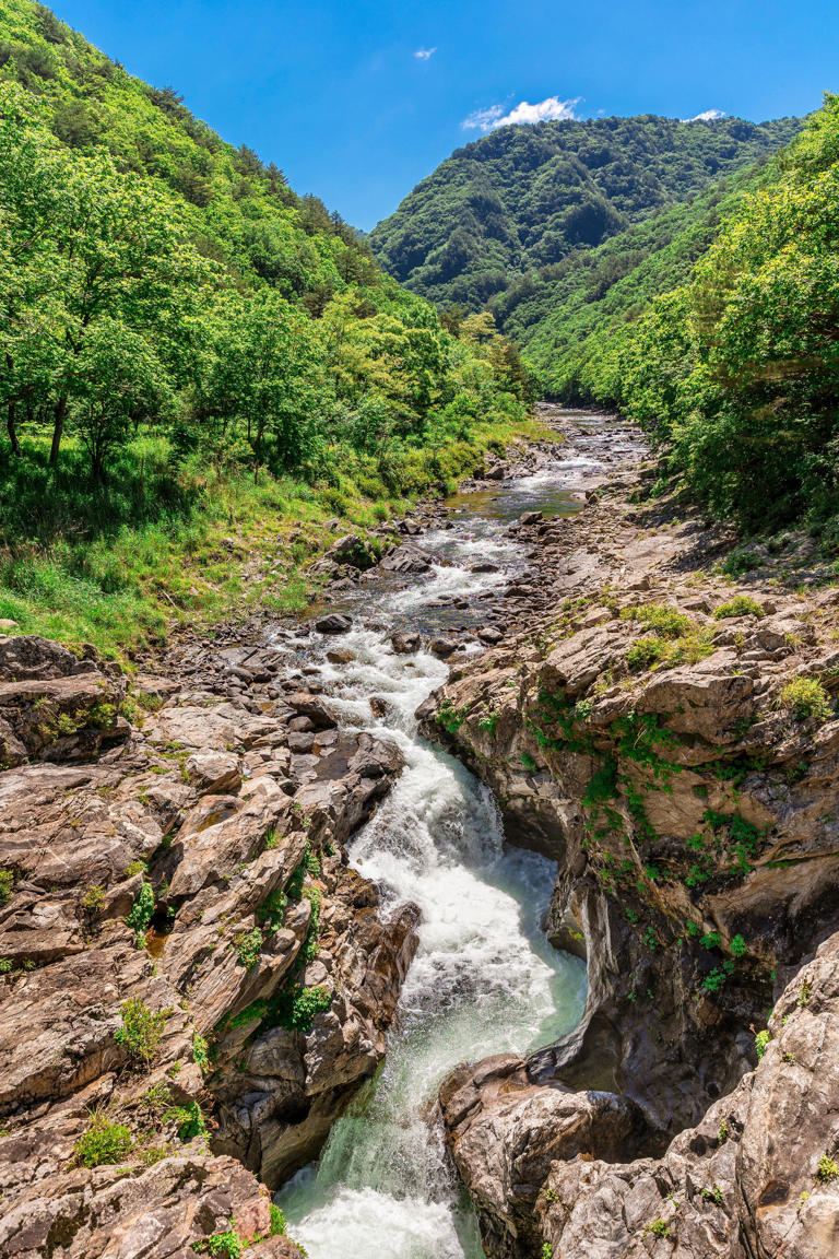 Yanggu DMZ: Exploring peace and history in Korea's divided landscape