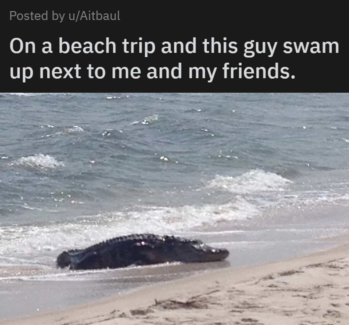 The most eerily unsettling things found in the water