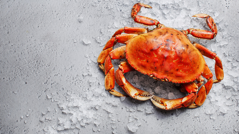 9 types of crab and how to cook with them