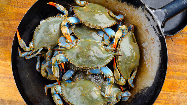 9 types of crab and how to cook with them