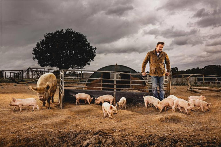 TV farmer owns the UK's best attraction an hour from Cambridge – not ...