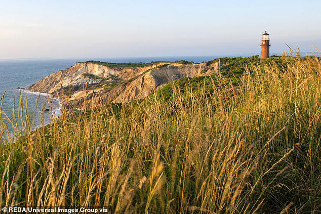 Terrified Martha's Vineyard billionaires under siege from tick that ...
