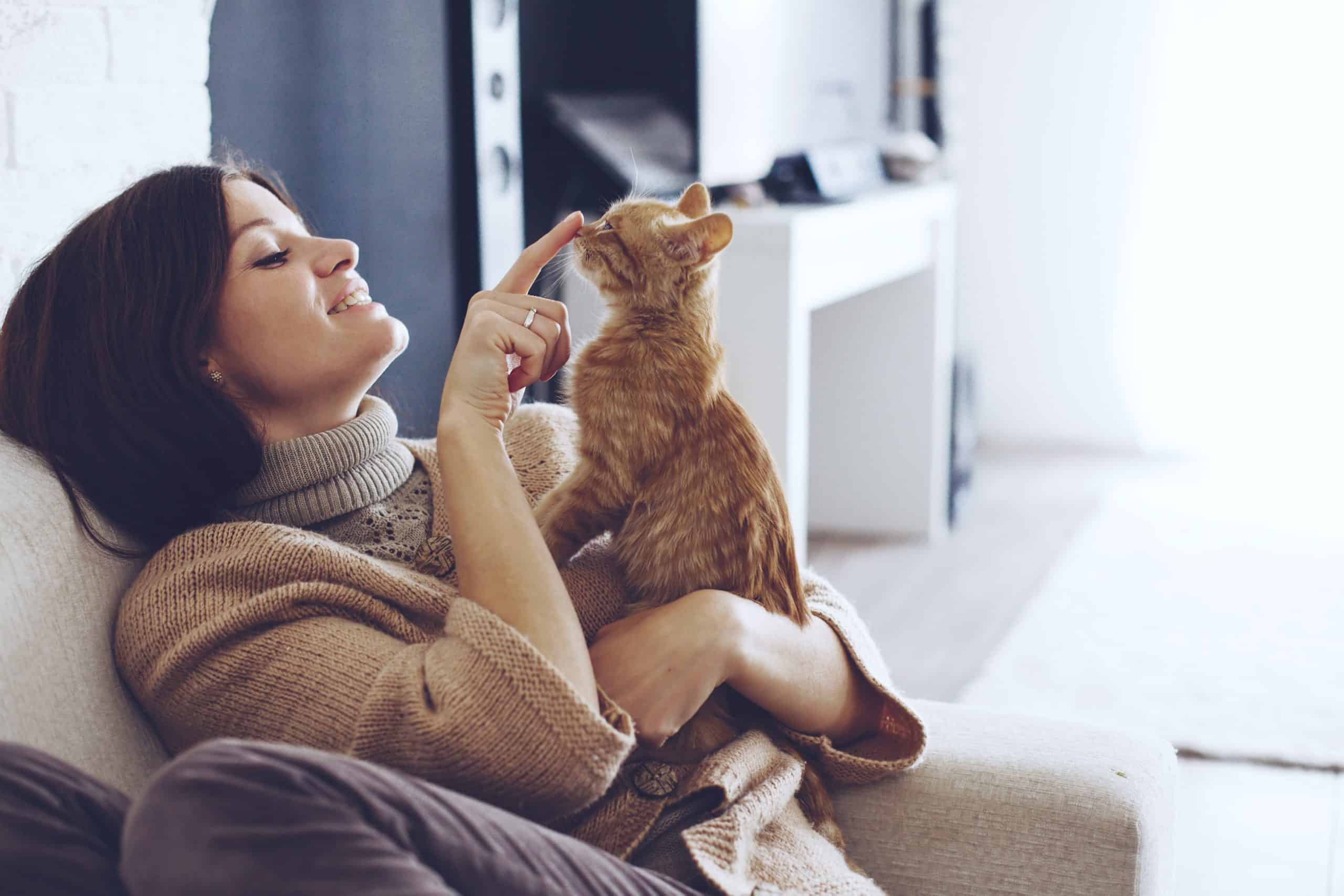 18 things cat owners should stop doing to keep their cats healthy and happy