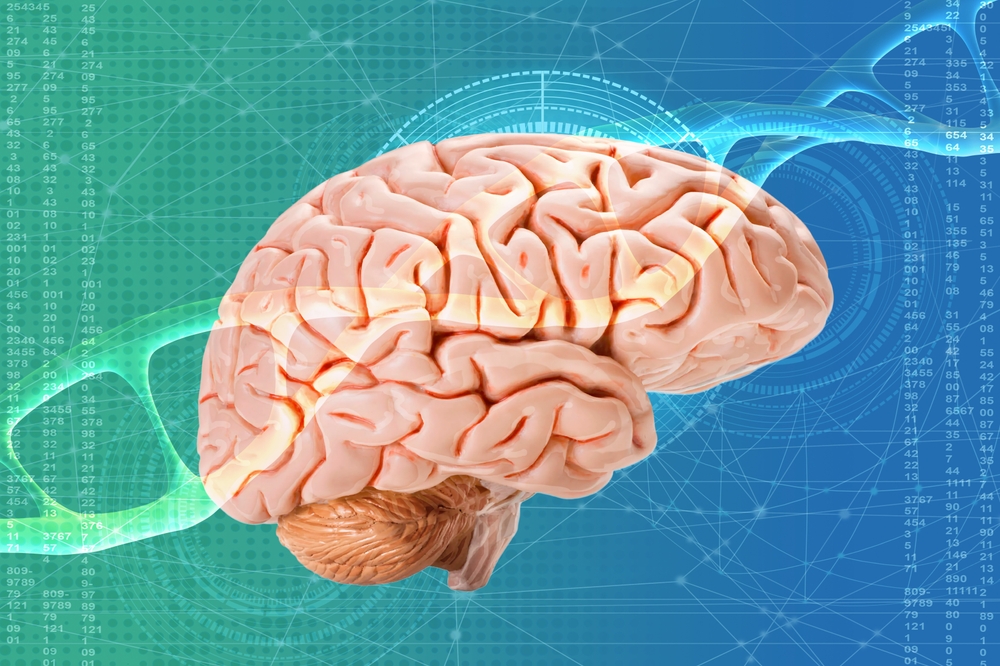 What really happens to your body in the minutes after you die
