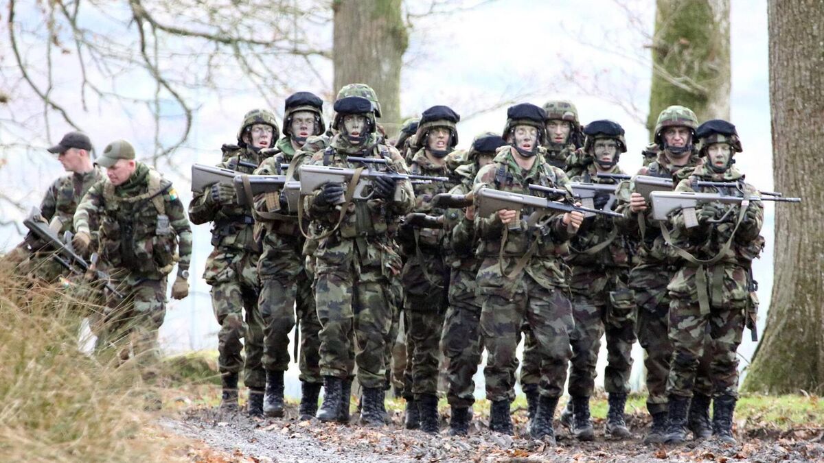 Defence Forces colonel denies apprentices were 'terrified' at training ...