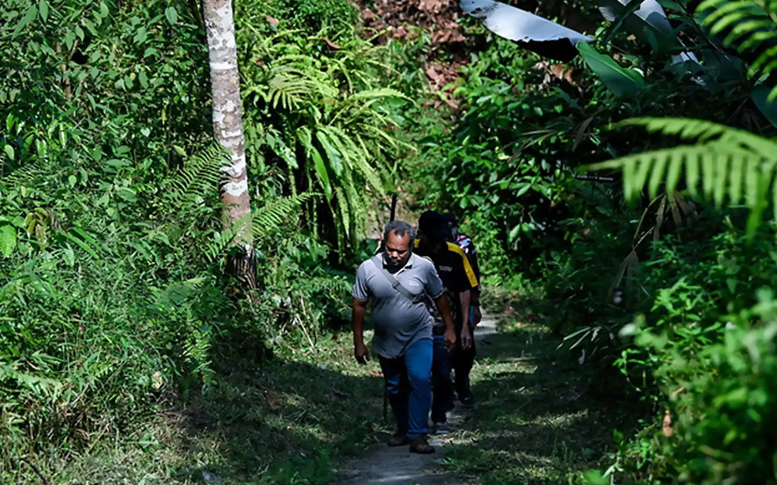 Day hikes banned on high-risk Perak mountains