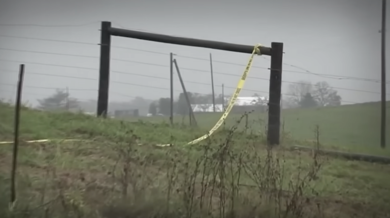Exotic animal owner nearly kills a community: The Zanesville massacre
