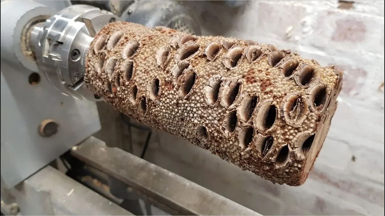 Woodturning - The nut!
