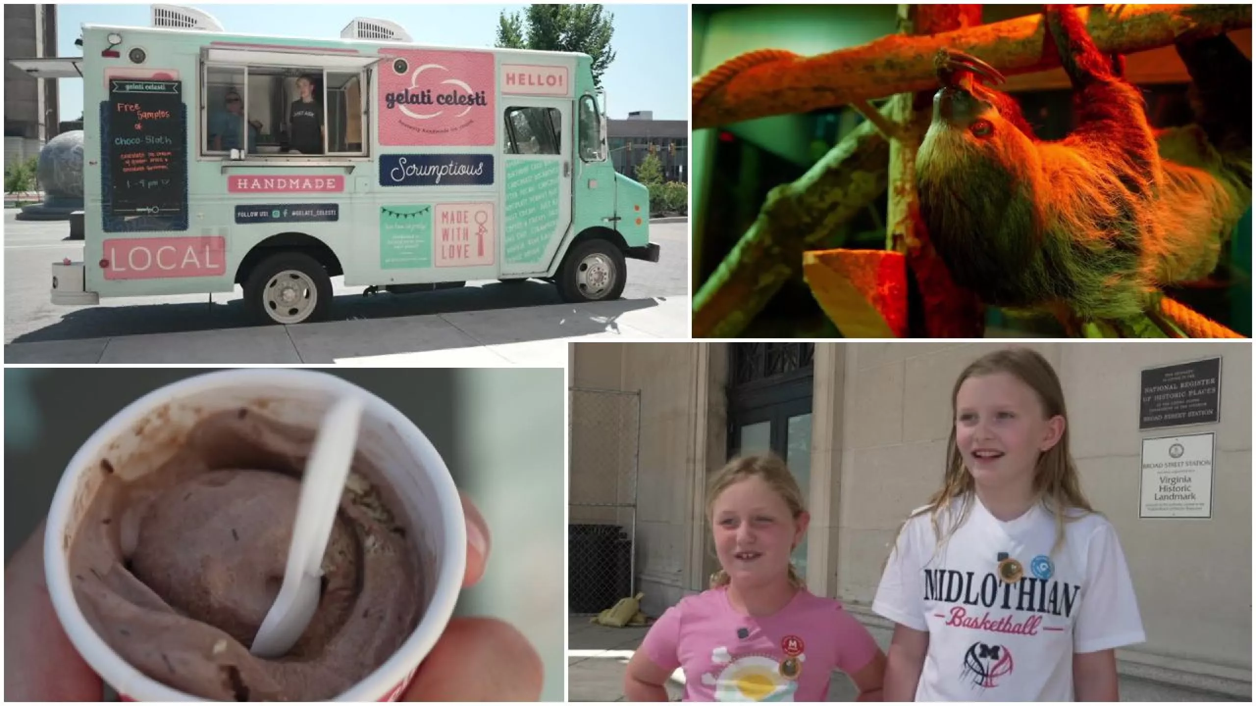Kids rave about Gelati Celesti's 'amazing' Choco-Sloth flavor outside ...