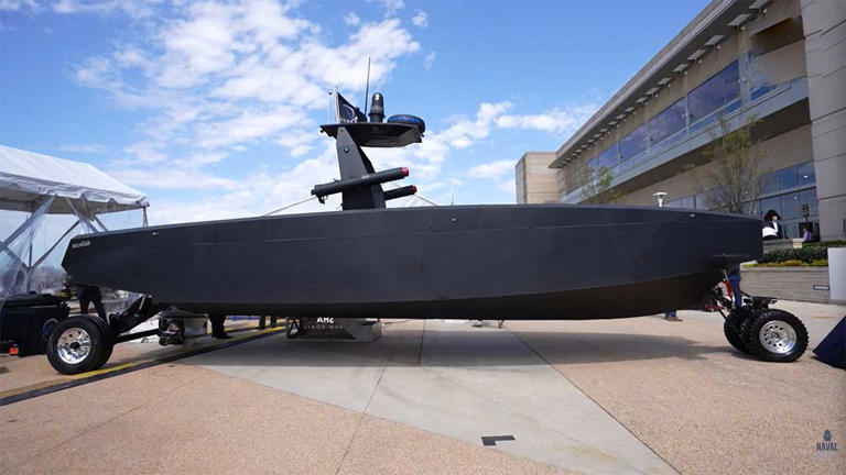 Louisiana boatbuilder Metal Shark debuted Frenzy, a low-cost amphibious ...