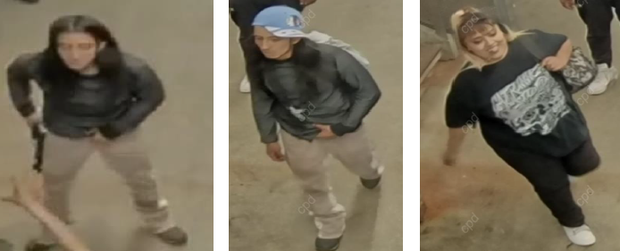 Police searching for man, woman wanted in CTA train platform battery in ...