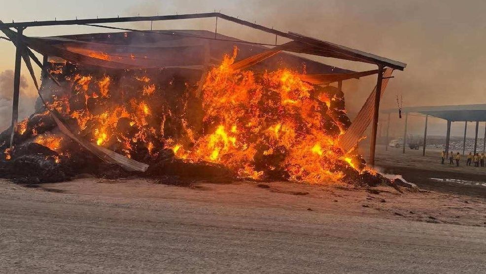 Man arrested after tablet stolen, hay bales set on fire in Visalia