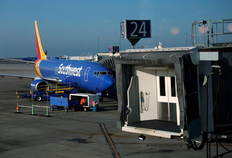 Viral Southwest incident sparks questions about air travel for families ...