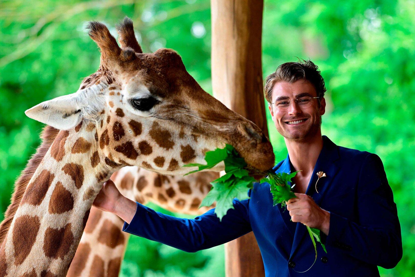 Begegnung auf Augenhöhe: "GTNM"-Model Linus traf Giraffe Linus