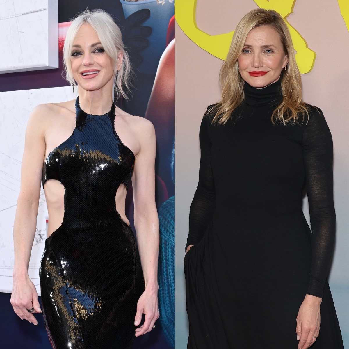 Anna Faris denies shading Cameron Diaz with Lost in Translation role