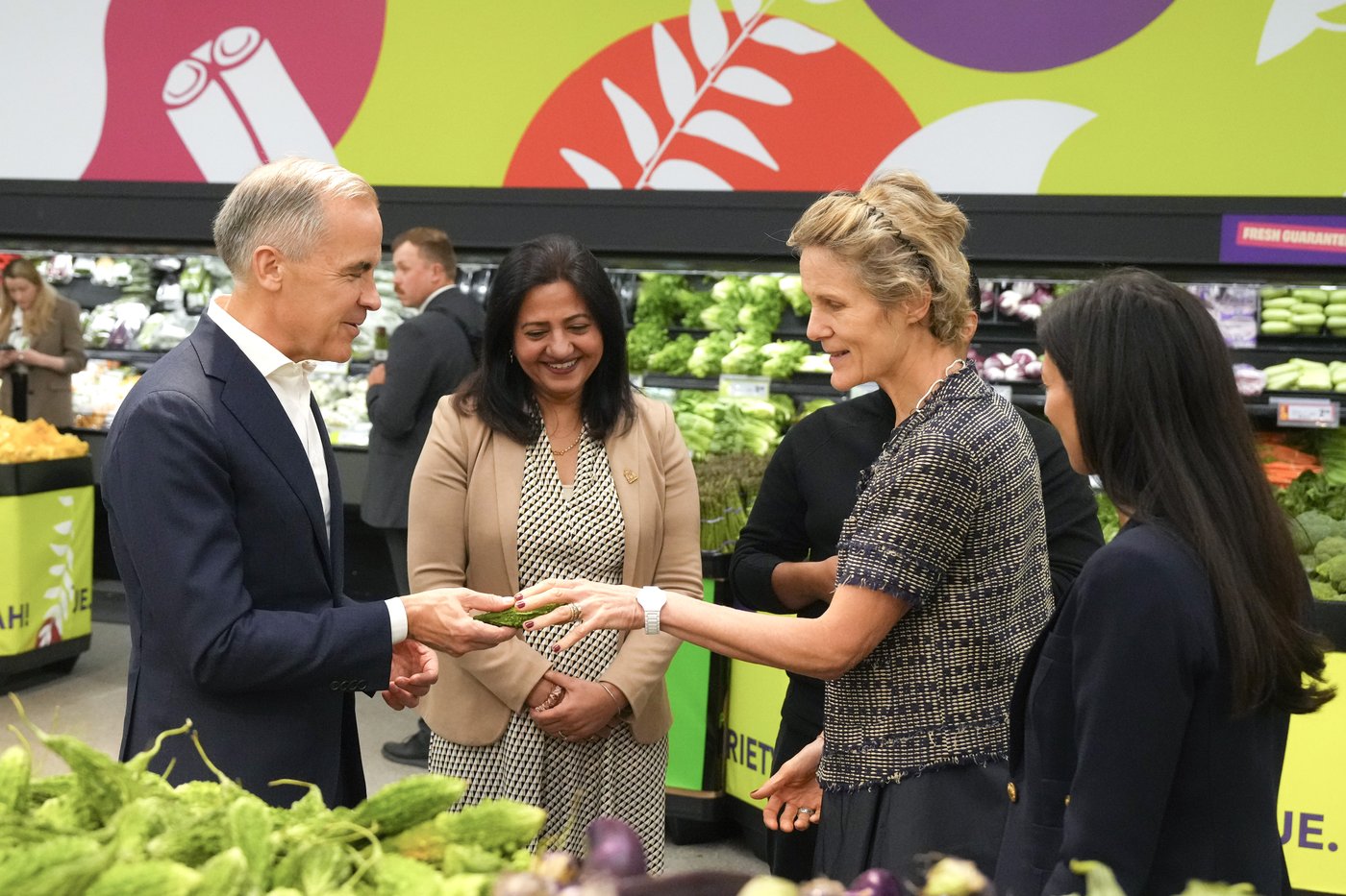 What you need to know about the federal government's grocery and ...